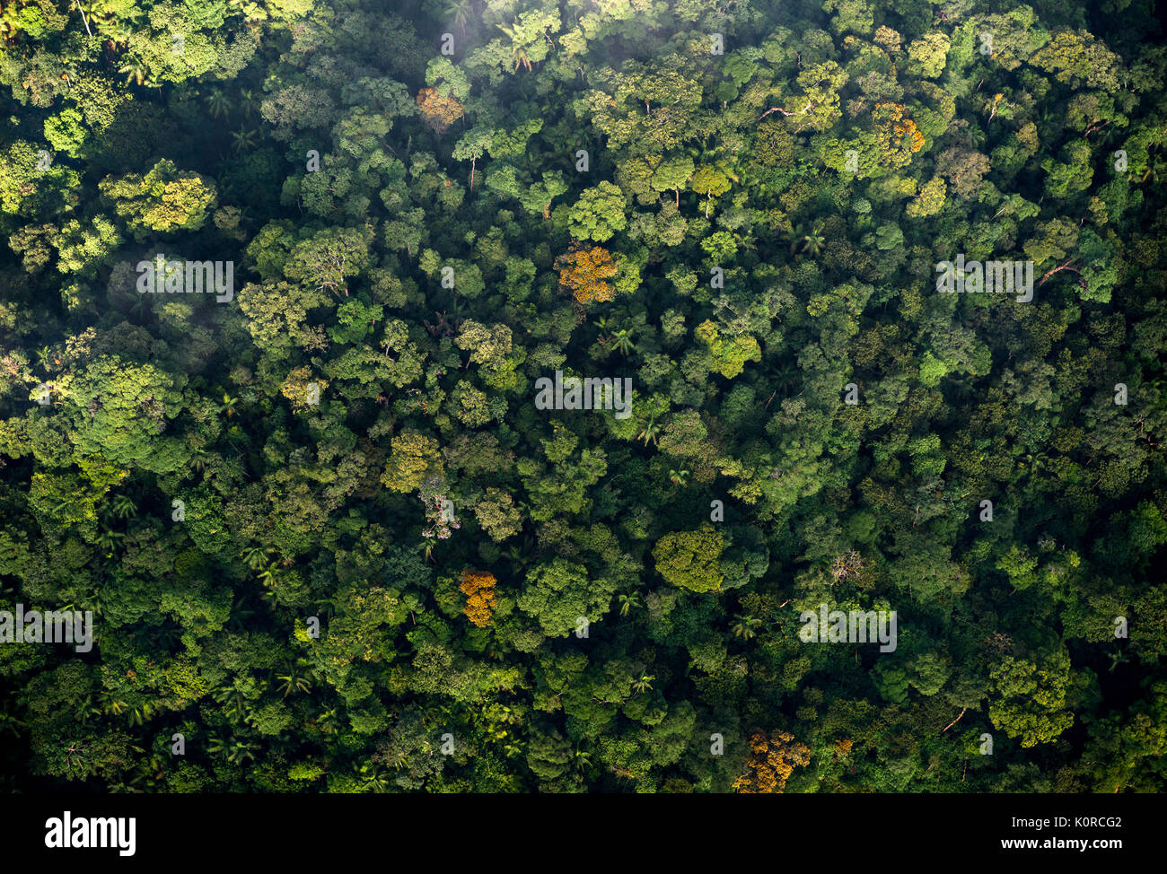Brazil rainforest aerial hi-res stock photography and images - Alamy