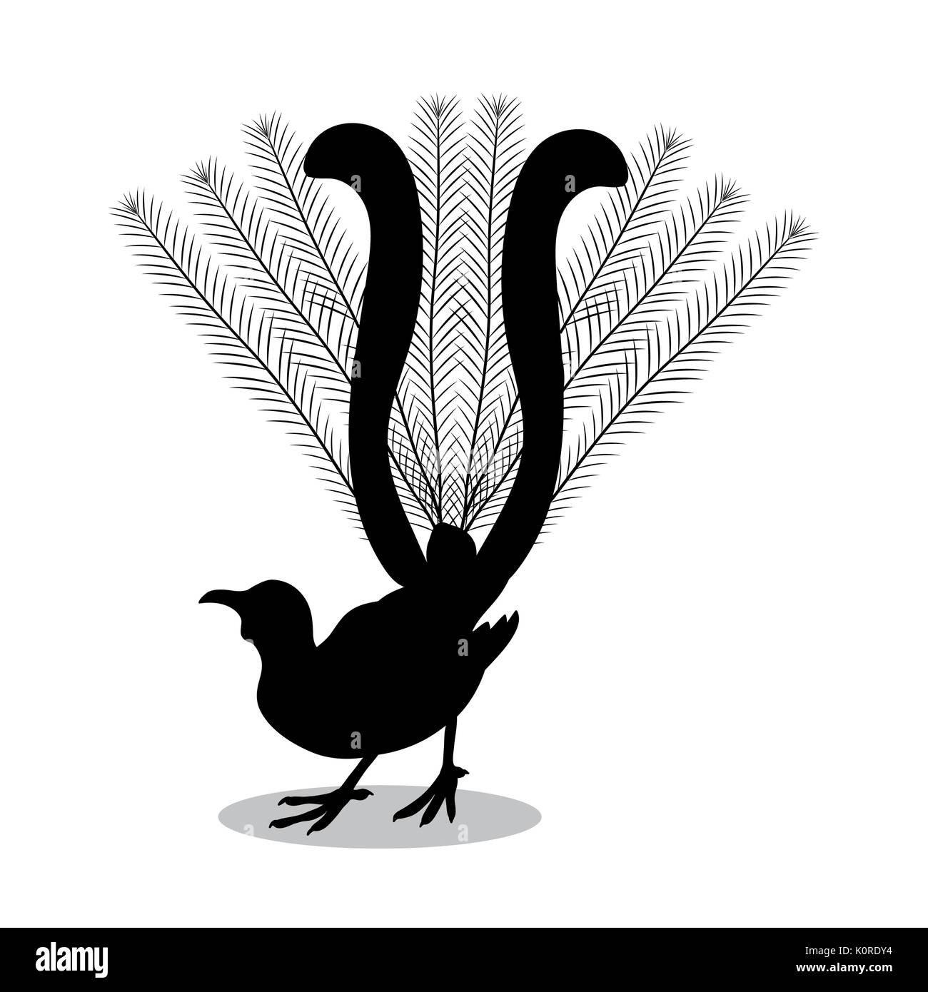 Lyrebird bird black silhouette animal. Vector Illustrator Stock Vector ...