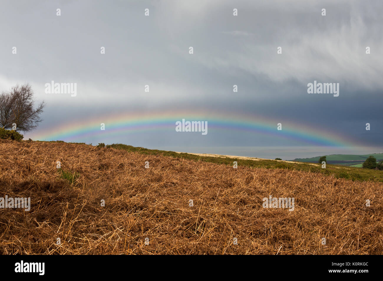Rainbow In Spring England Stock Photos & Rainbow In Spring England ...