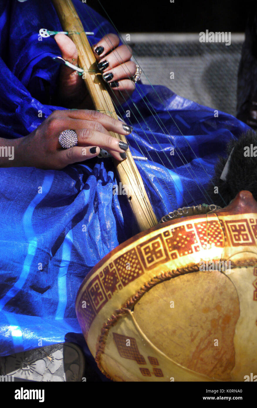 Mauritanian ardin (Moorish harp) playerFestival of Sacred Music, Fes ...