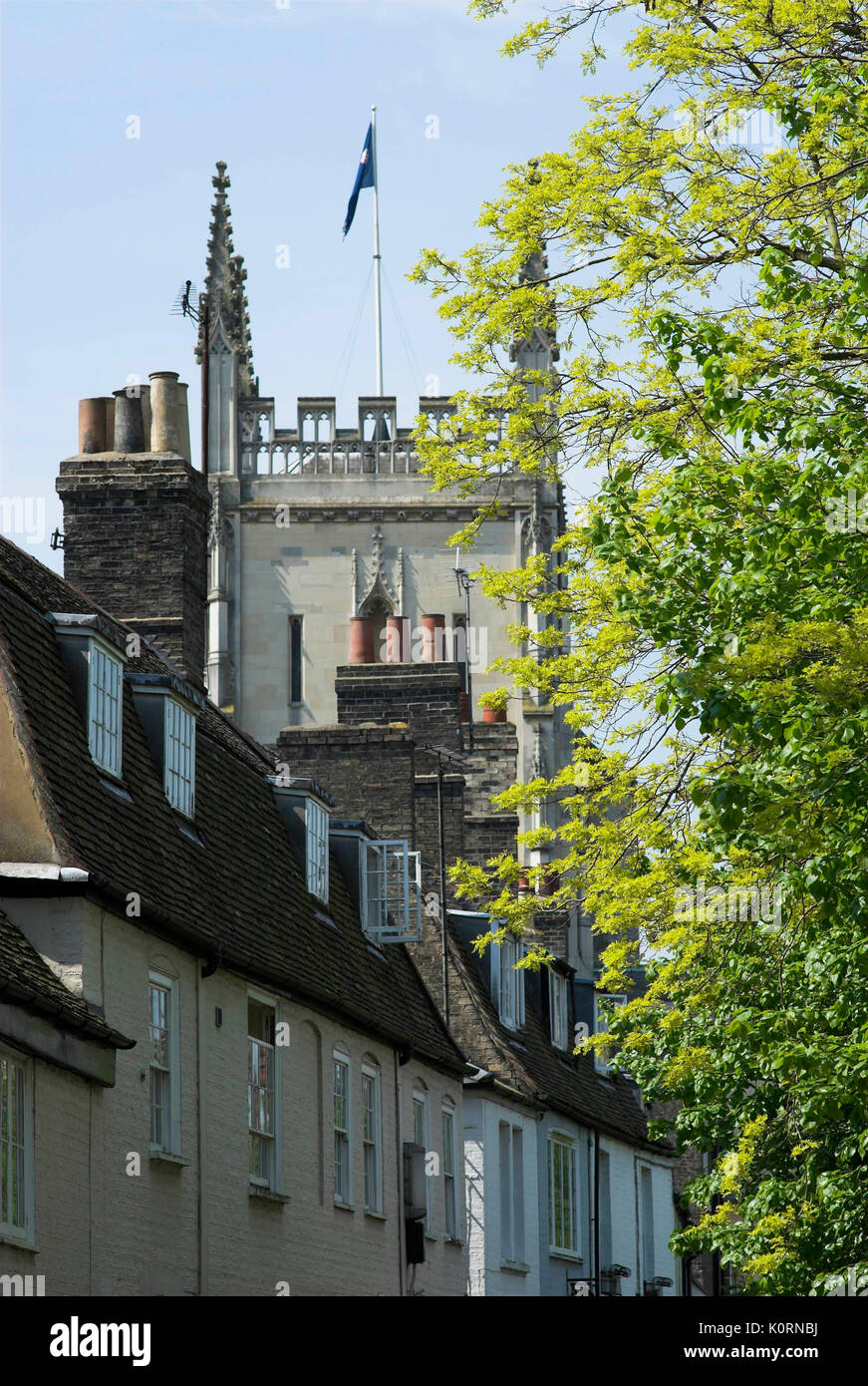 Pitt Building tower viewed from Botolph Lane Cambridge Stock Photo - Alamy
