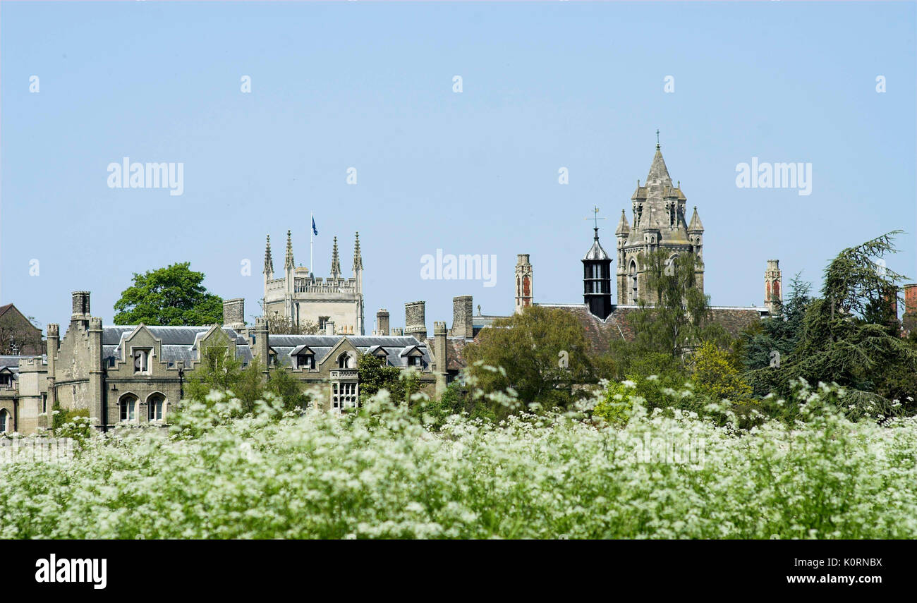 Cambridge rooftops viewed from Coe Fen Cambridge Stock Photo - Alamy
