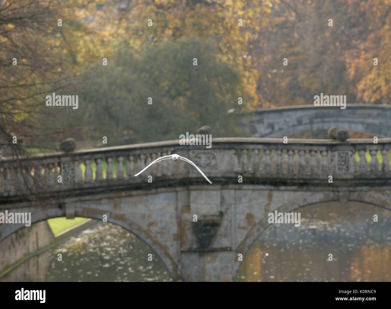 Clare College Bridge Cambridge Stock Photo - Alamy