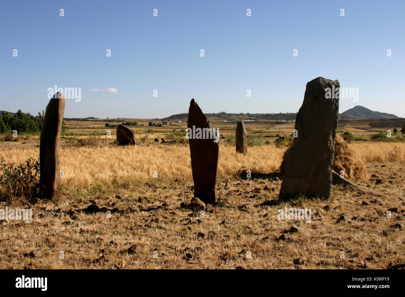 Gudit Stelae Field, Axum, Ethiopia. Named after Queen Gudit, 10th ...