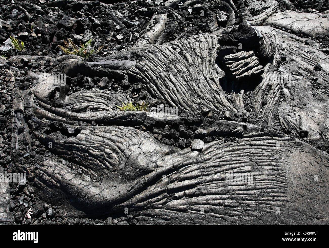 Hardened Lava, Hawaii Hardened lava, Kilauea, Big Island, Hawaii Stock ...