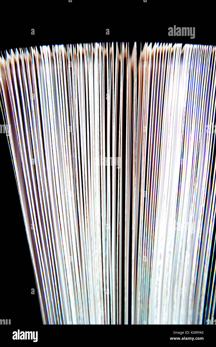 Open pages Pages of a book with fan effect Stock Photo - Alamy