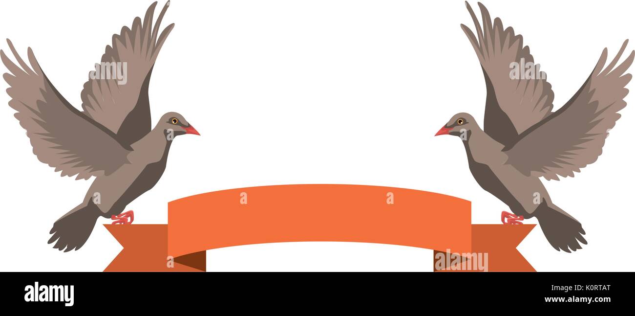 two doves holding a banner ribbons clip art isolated on white ...