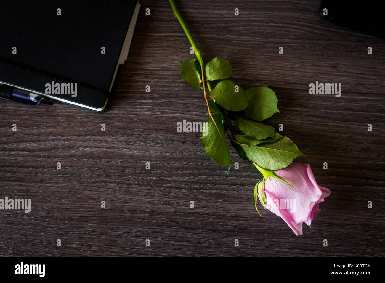 Good morning rose hi-res stock photography and images - Alamy