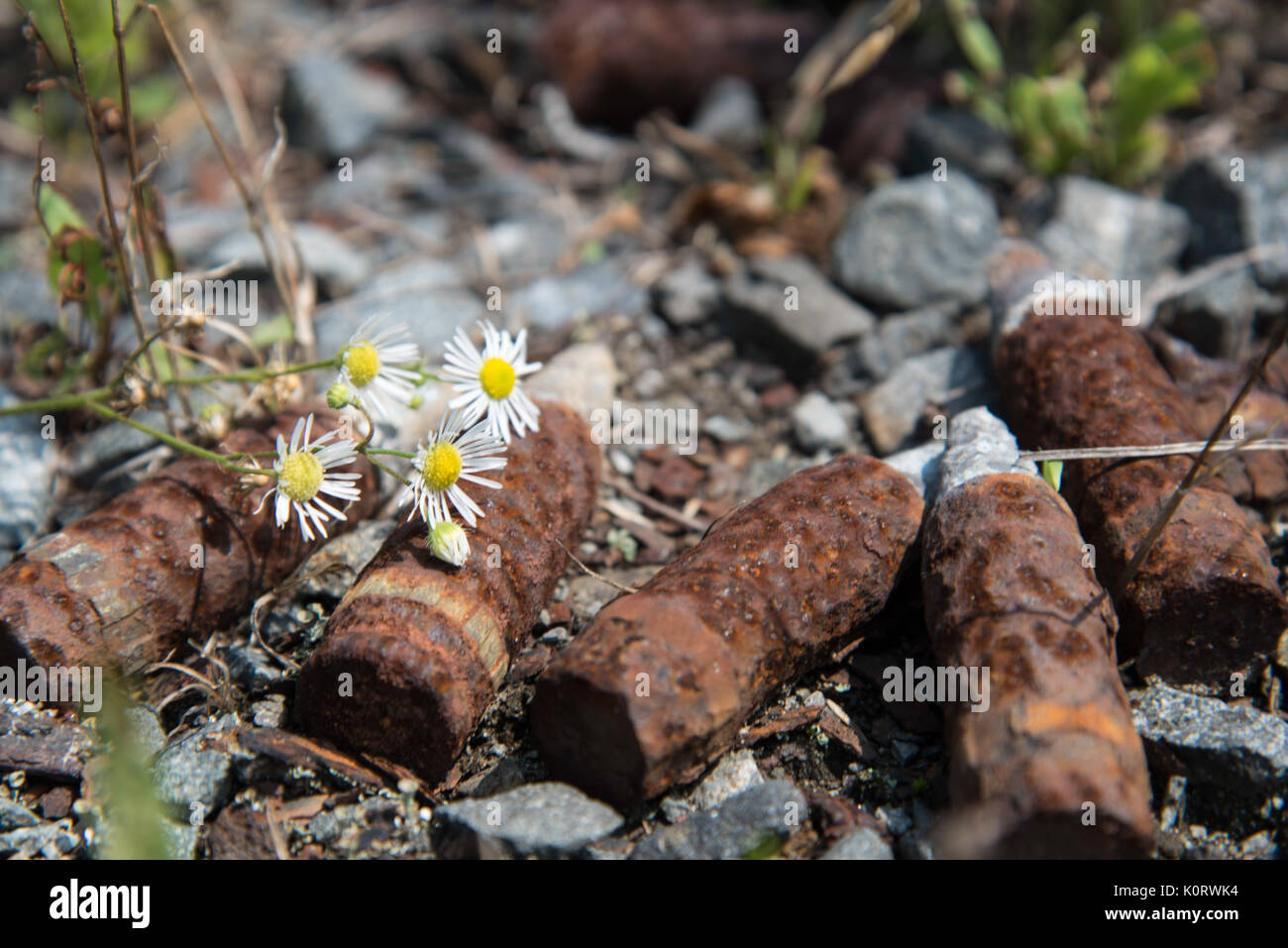 20 mm ammunition hi-res stock photography and images - Alamy