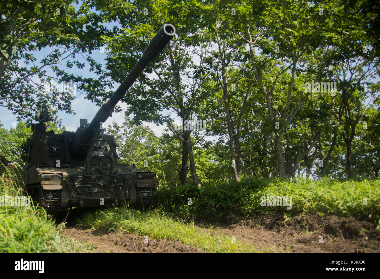 Japanese Self Propelled Howitzer Type 99 is placed between trees at ...
