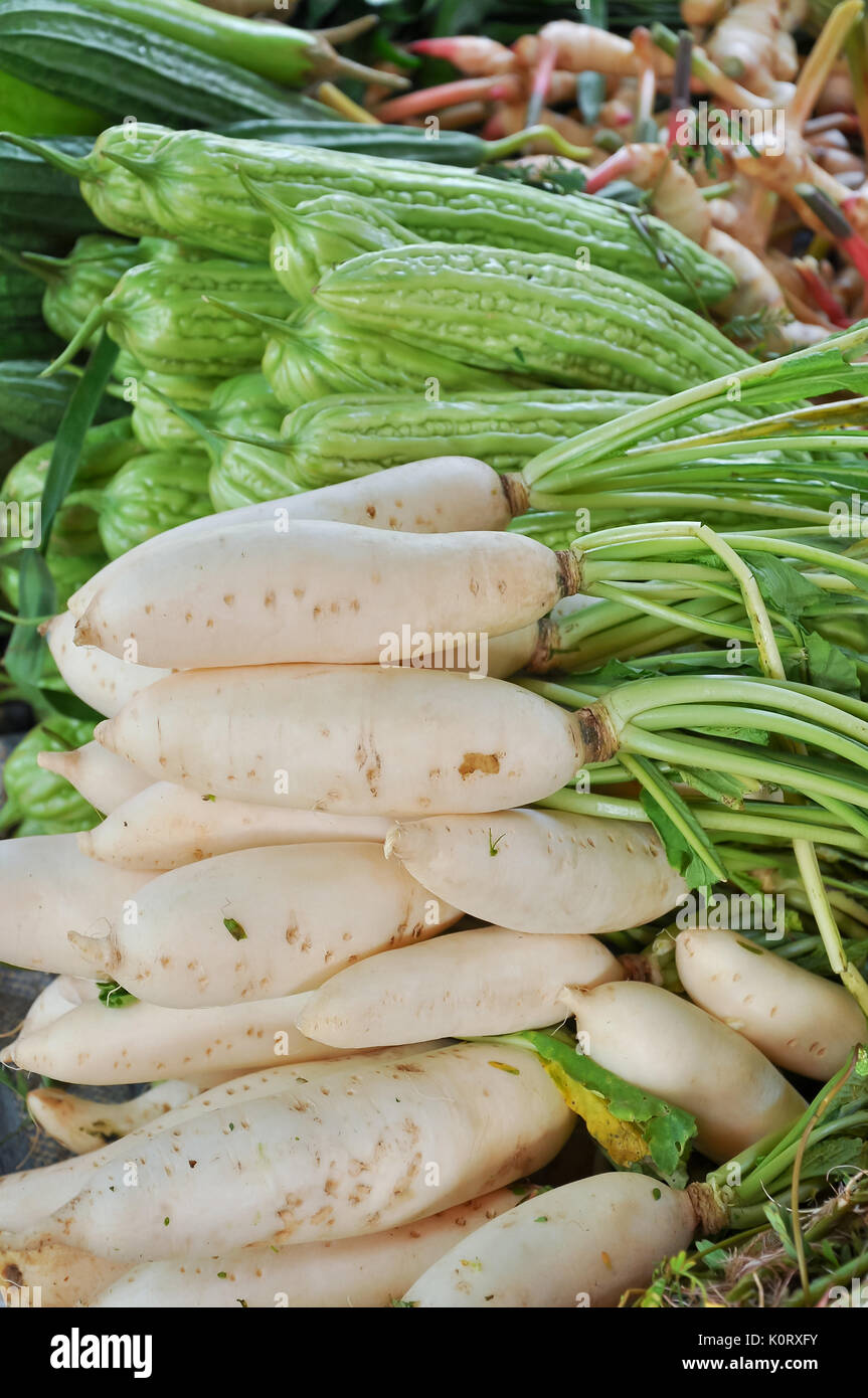Plants of the radish roots serve very effective companion plants Stock ...