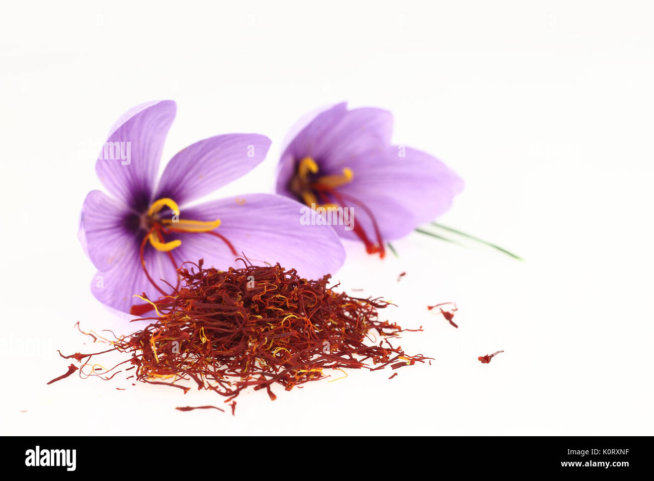 Dried saffron spice and Saffron flowers Stock Photo - Alamy