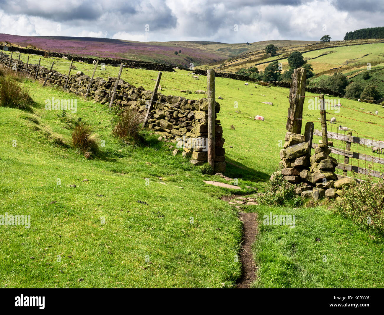 Gate through a Dry Stone Wall on The Bronte Way near Haworth Haworth ...