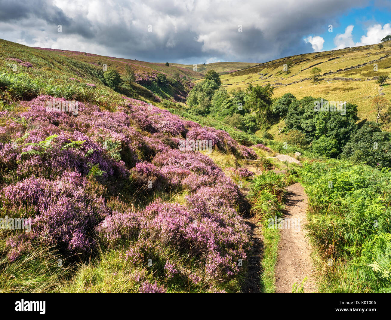 Haworth bronte country hi-res stock photography and images - Alamy
