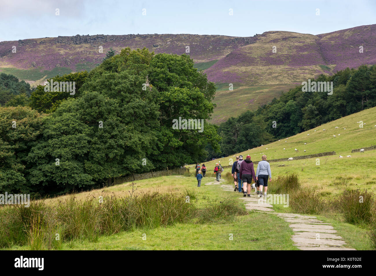 Group of hill walkers on the popular route to Grindsbrook Clough near ...