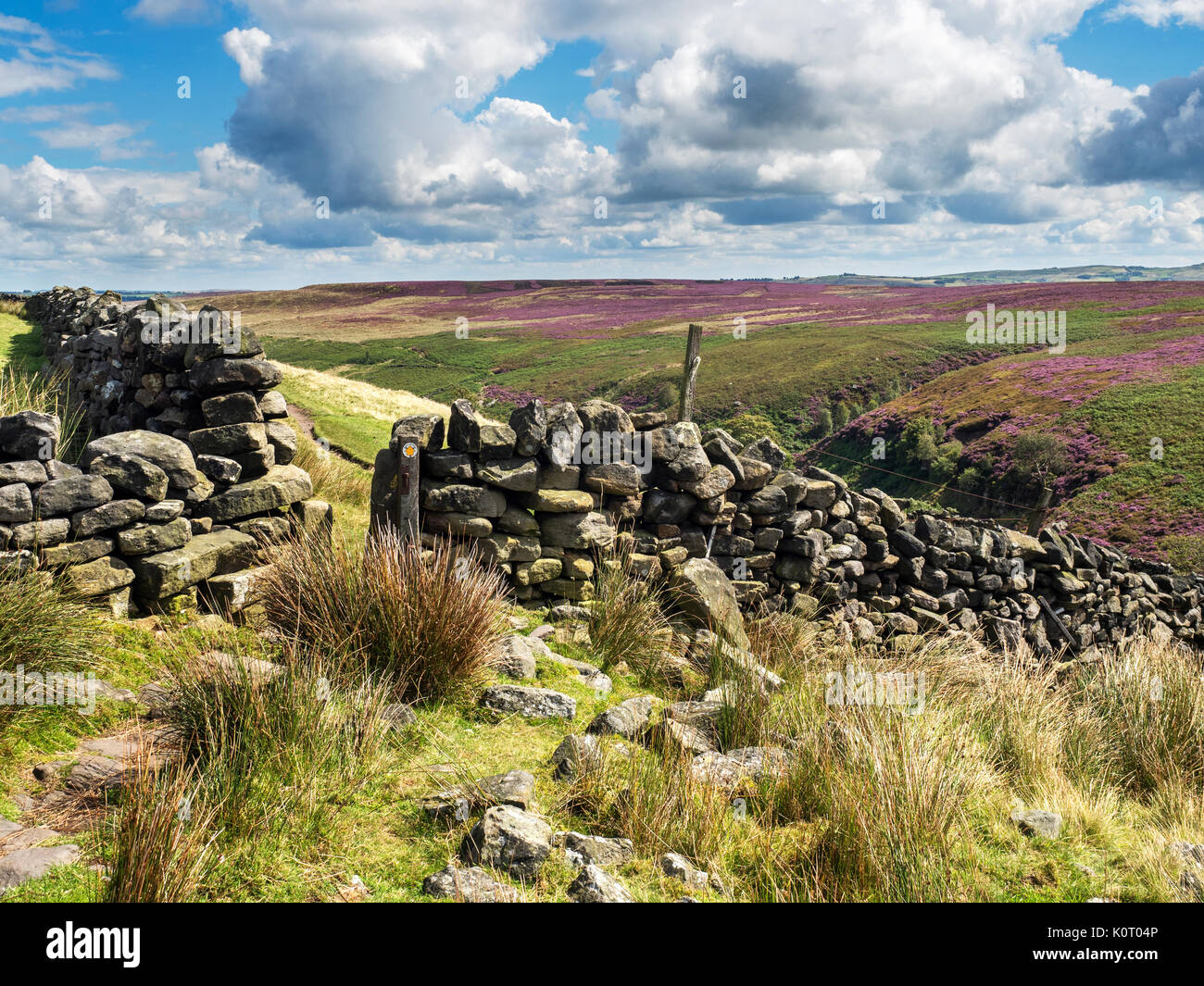 Bronte moors hi-res stock photography and images - Alamy