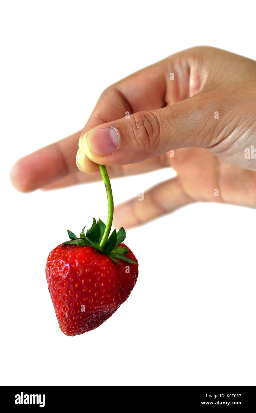 When you are picking strawberry in your hand Stock Photo - Alamy