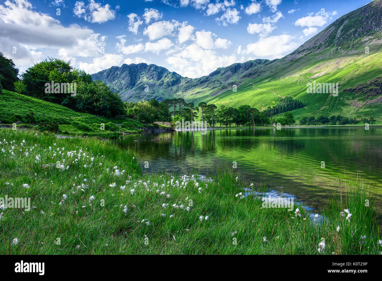 Idyllic landscape of Lake District,UK in spring .Green grass growing on ...