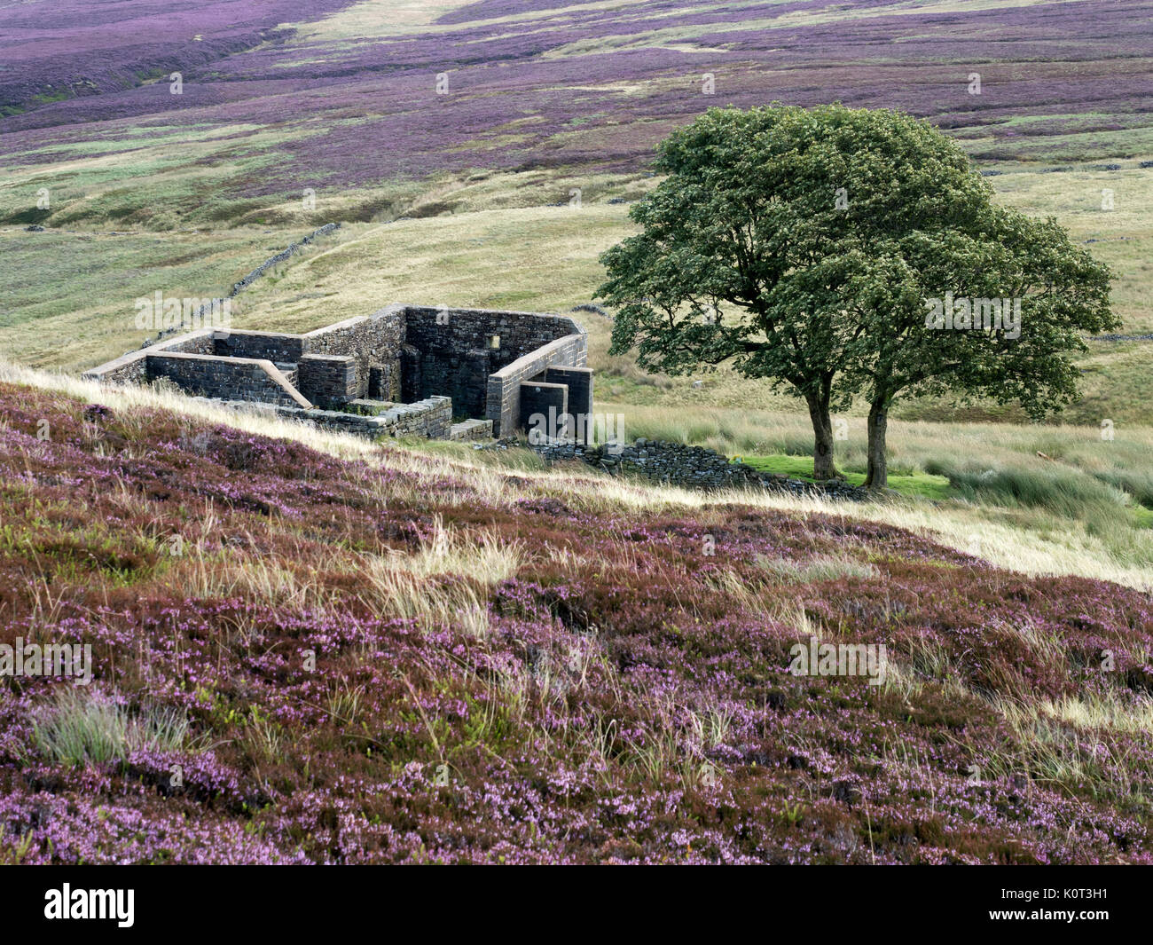 Farmhouse on haworth moor hi-res stock photography and images - Alamy