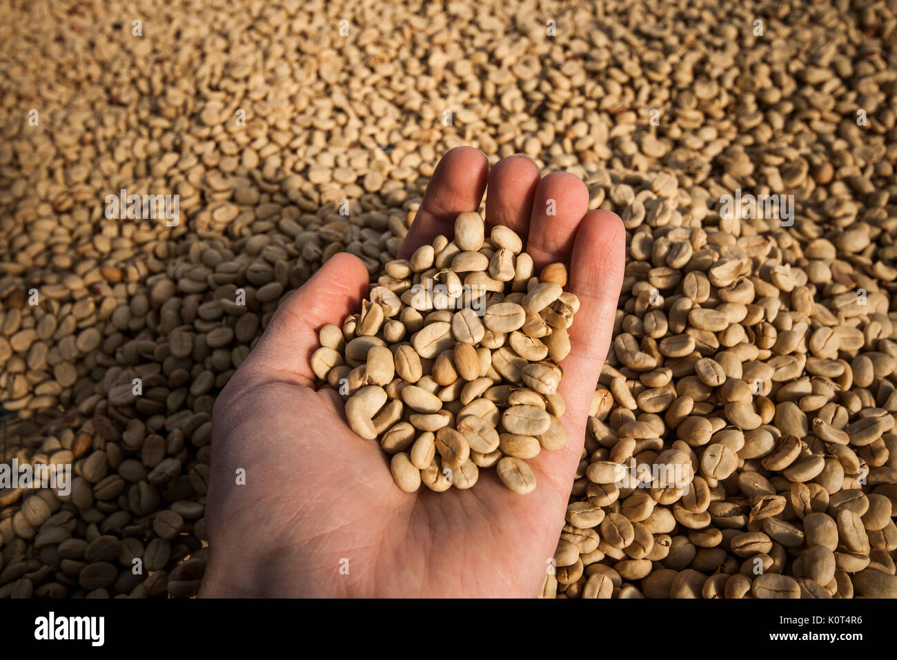 Handpicked hi-res stock photography and images - Alamy