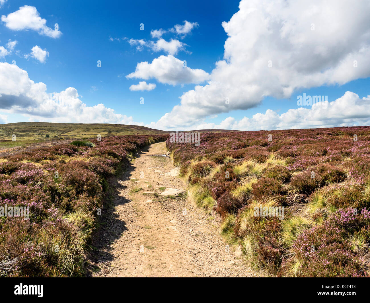 The Pennine Way on Stanbury Moor near Haworth West Yorkshire England ...