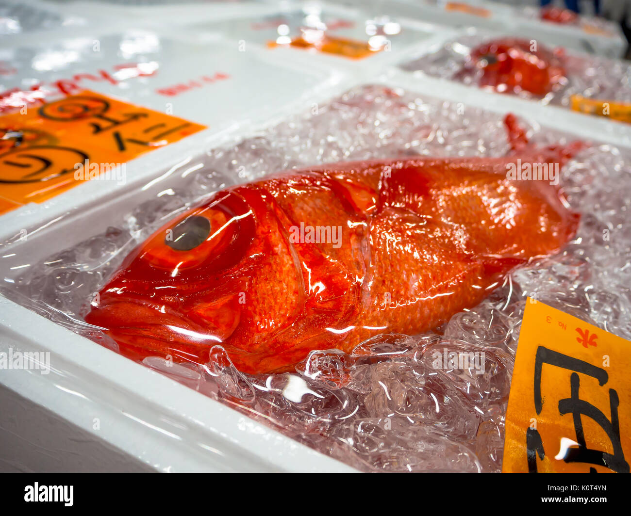TOKYO, JAPAN JUNE 28 - 2017: Fish for sale inside of white boxes with ...