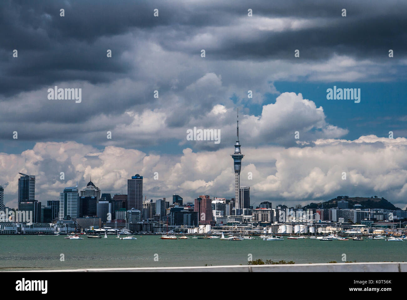 Auckland sea hi-res stock photography and images - Alamy