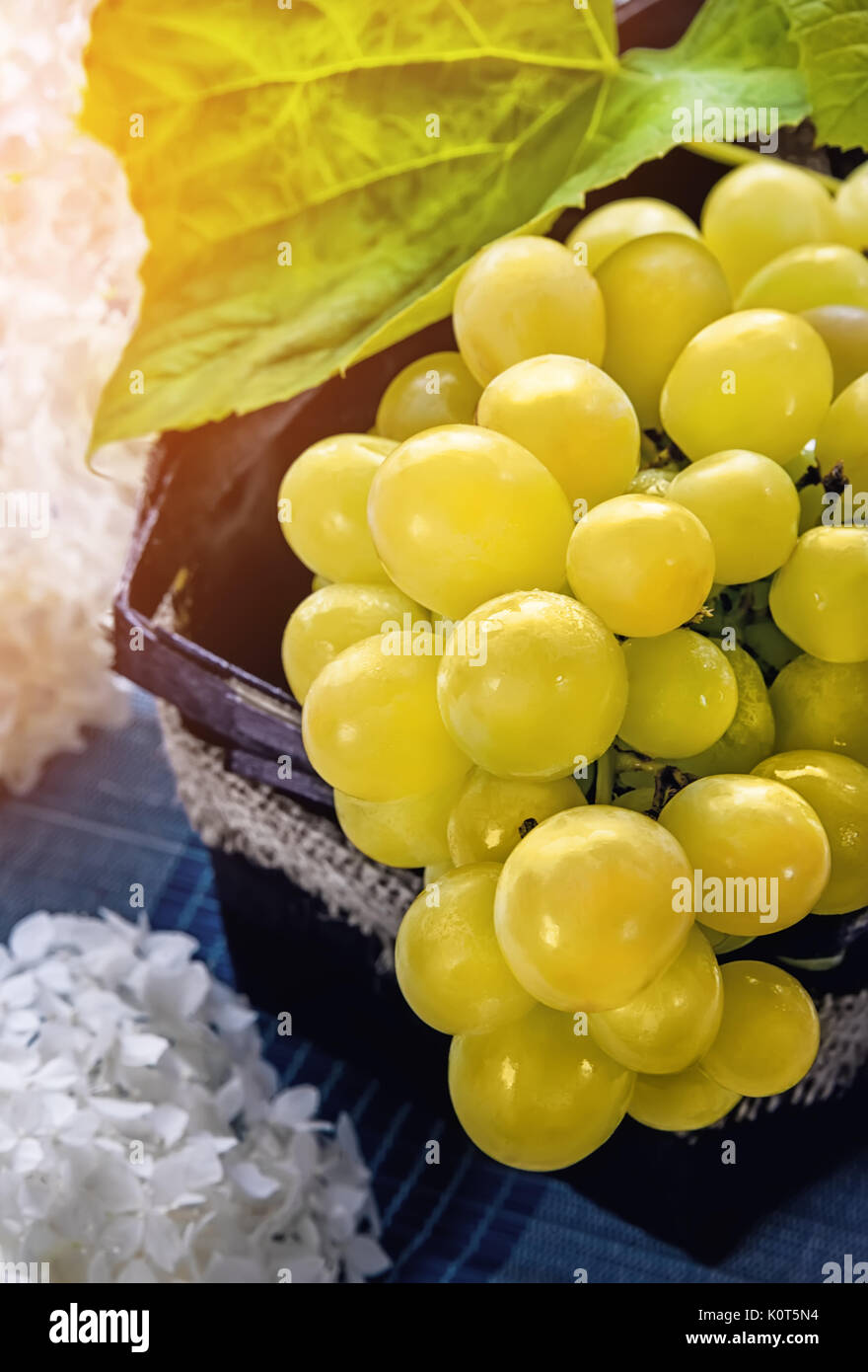 Hydrangeas in fall hi-res stock photography and images - Alamy
