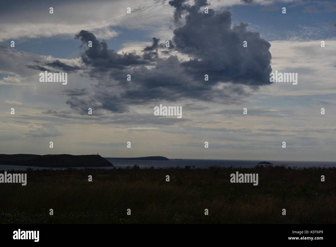 Peace and kindness hi-res stock photography and images - Alamy