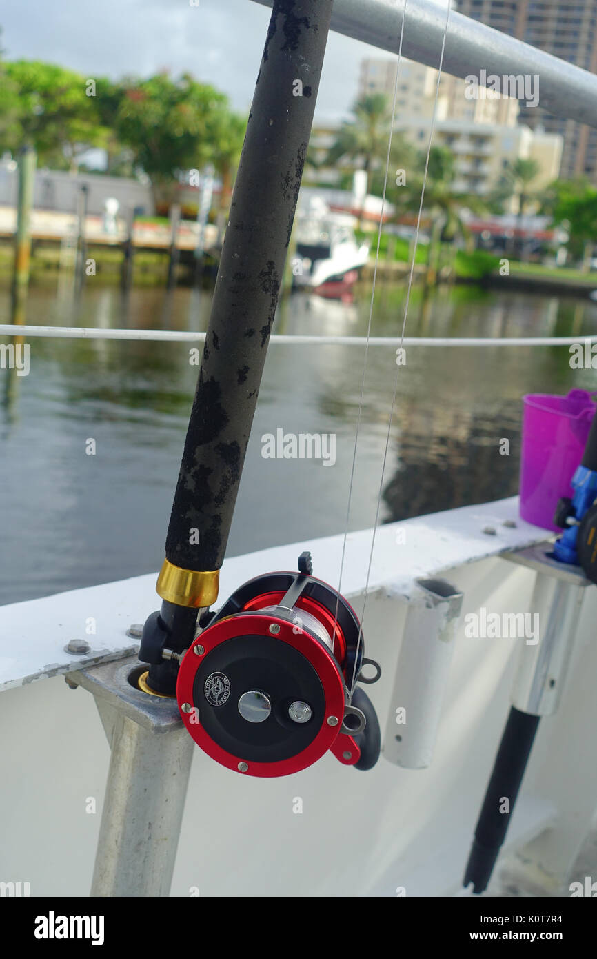 Best fishing in florida hi-res stock photography and images - Alamy