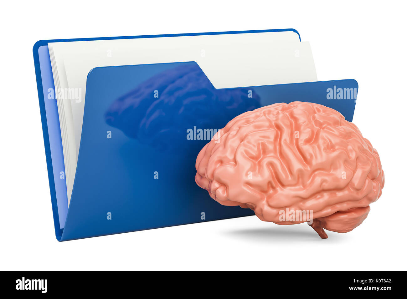 Computer folder icon with human brain, 3D rendering isolated on white ...