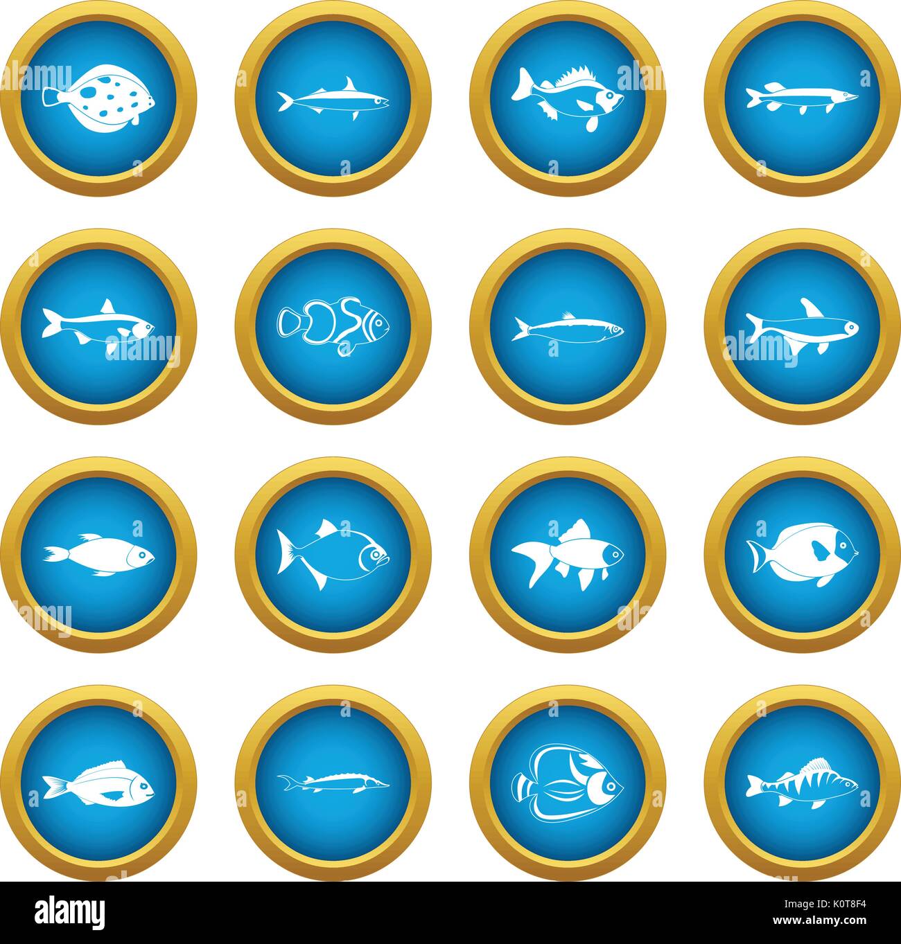 Fish Circle Ocean Stock Photos & Fish Circle Ocean Stock Images - Alamy