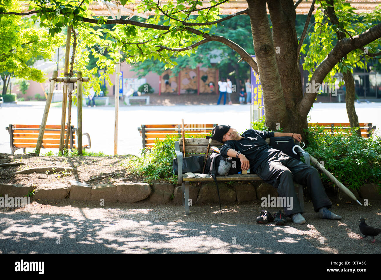 Homeless sleeping on park bench in Tokyo Stock Photo - Alamy