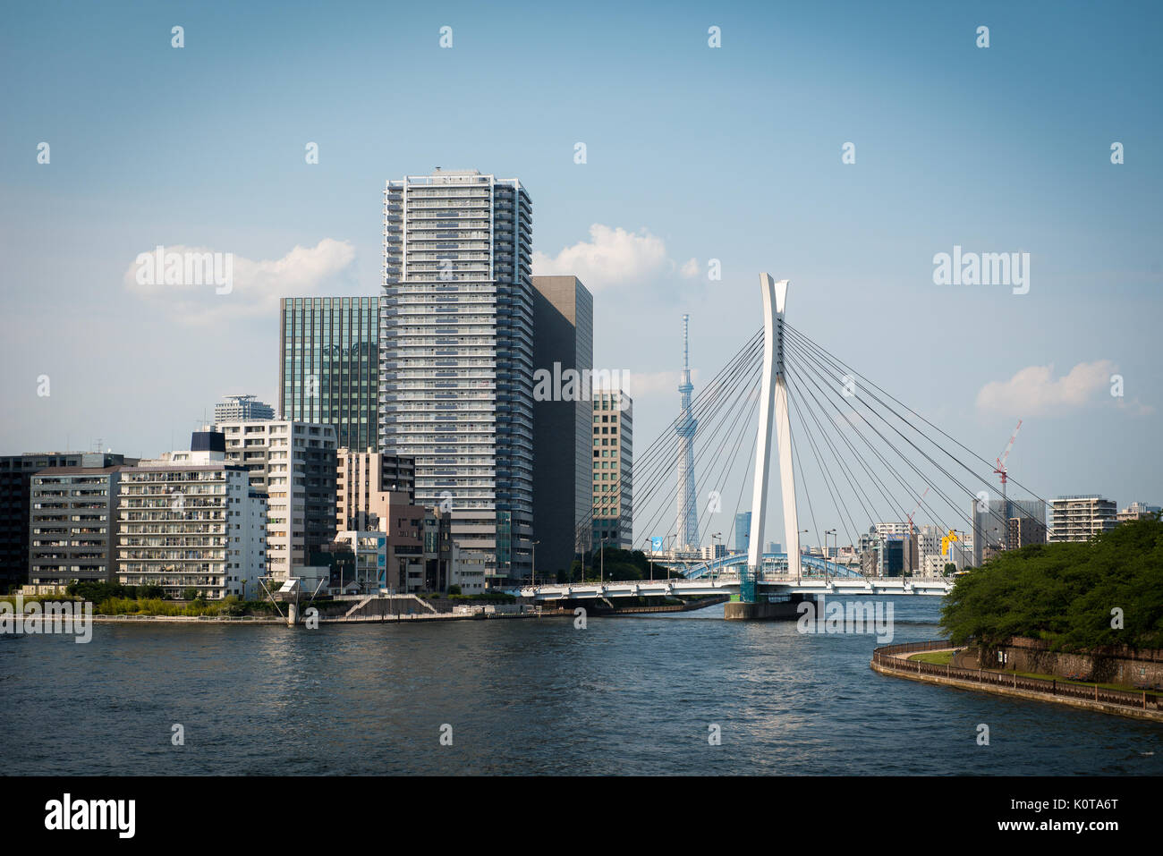 Modern bridge over river in Tokyo city Stock Photo - Alamy