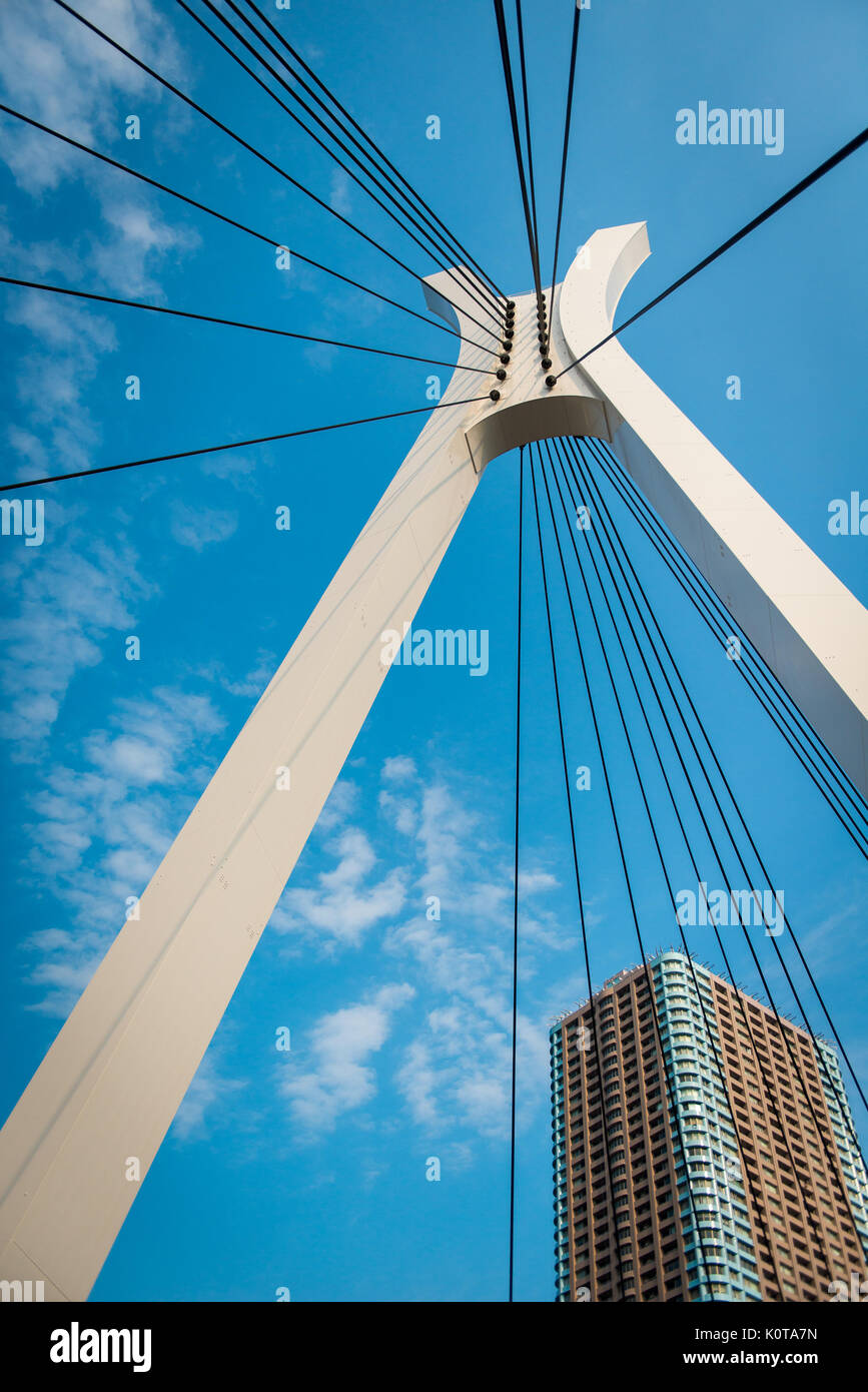 Modern bridge in Tokyo city Stock Photo - Alamy