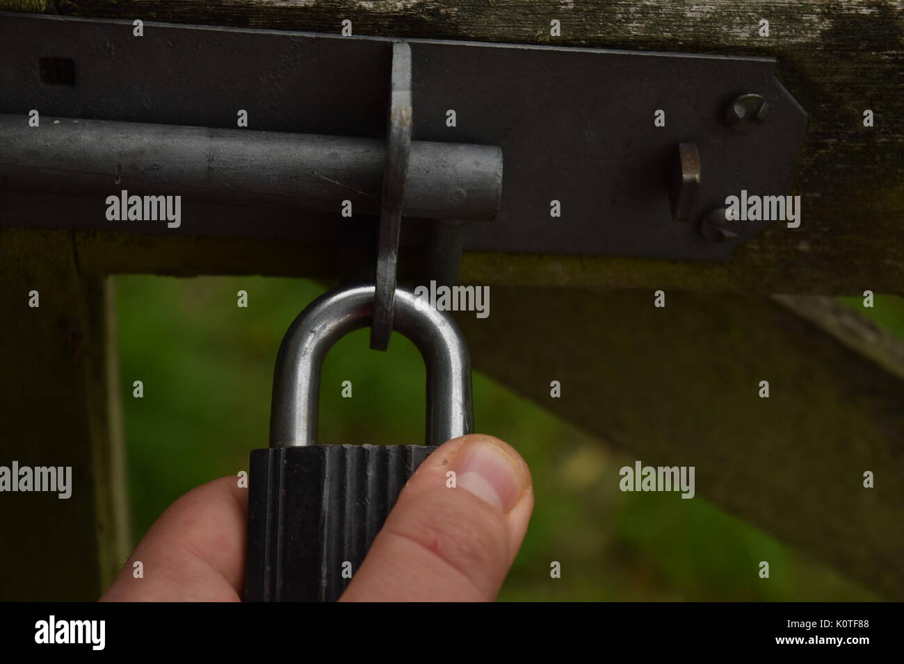 Hand holding a black metallic padlock Stock Photo - Alamy