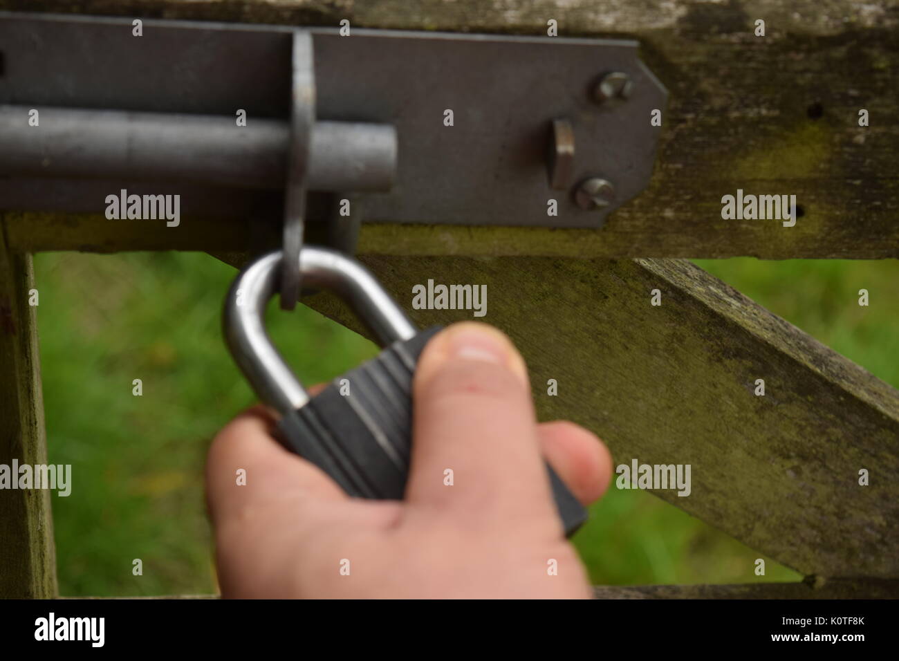 Metallic padlock on a wooden gate Stock Photo - Alamy