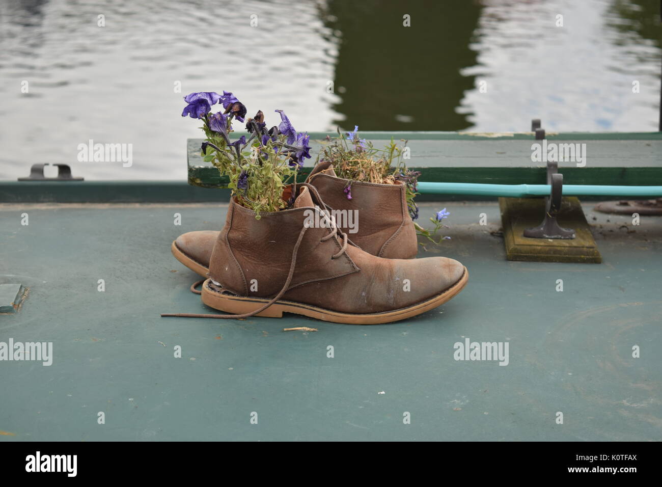 Brown boot with flowers growing Stock Photo - Alamy