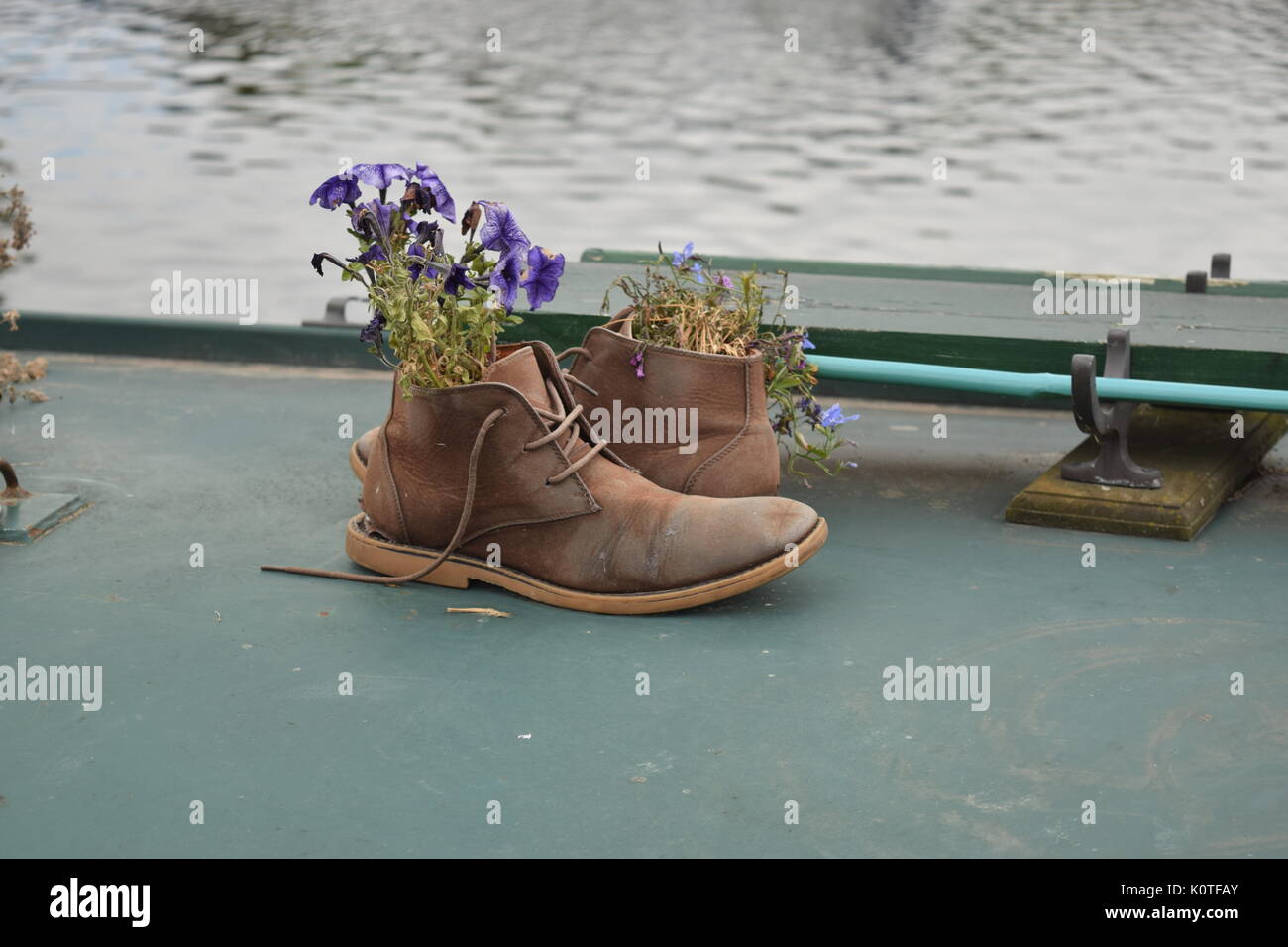 Cowboy boot flowers hi-res stock photography and images - Alamy