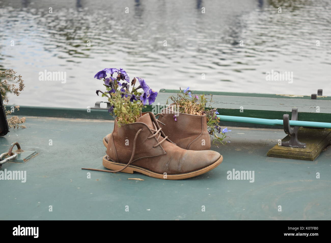 Brown boot with flowers growing Stock Photo - Alamy