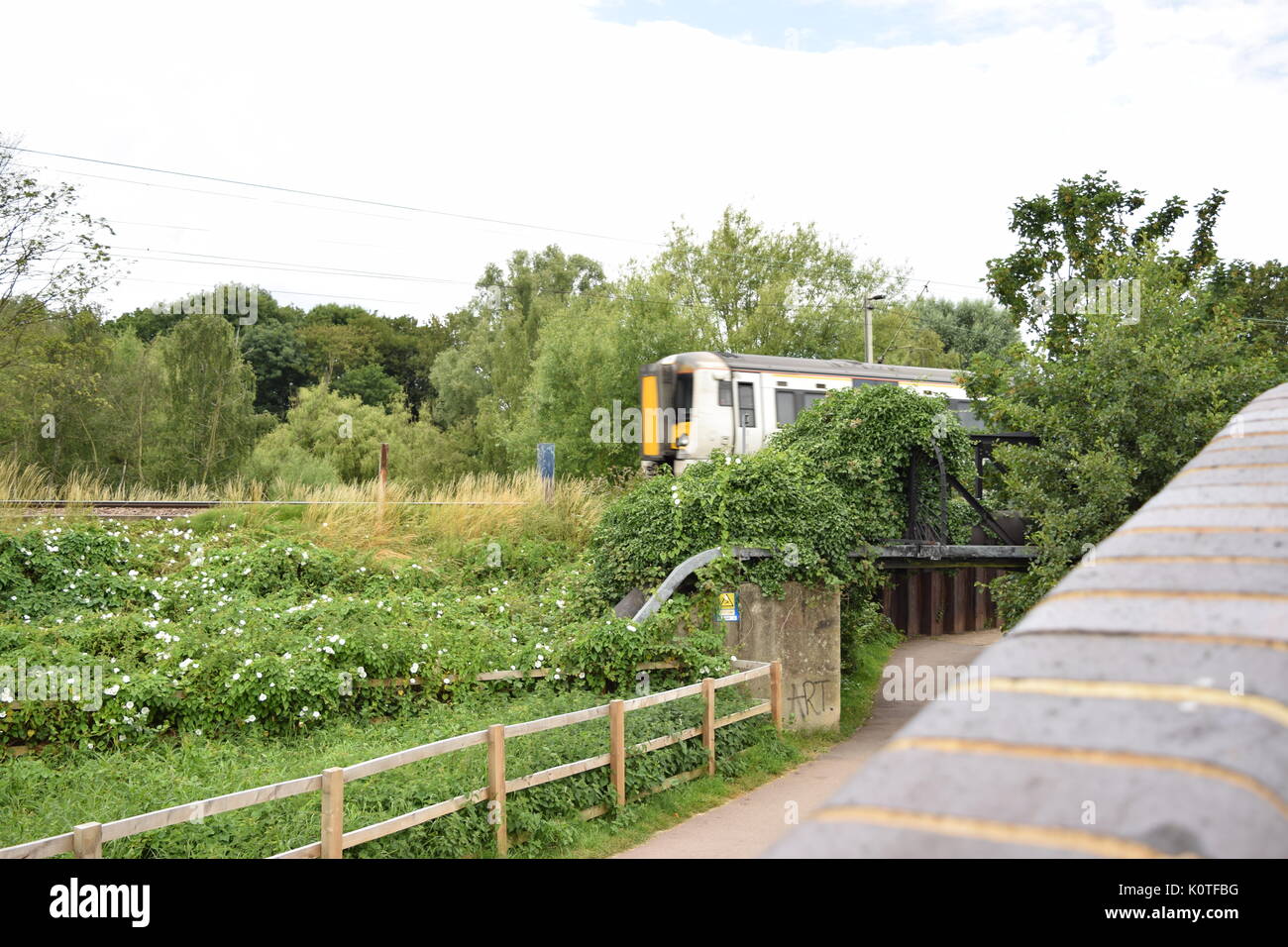 Side view of a brick ledge Stock Photo - Alamy
