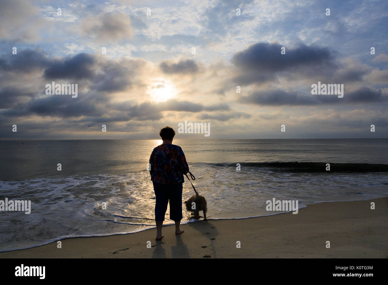 Sun behind female figure with dog on the beach with the waves coming in ...