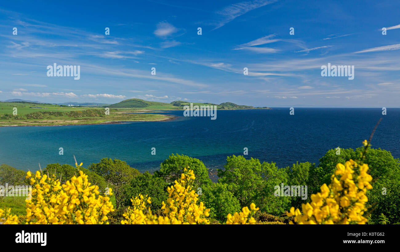 Panoramic coastal landscape with emerald fields & golden flowers of ...