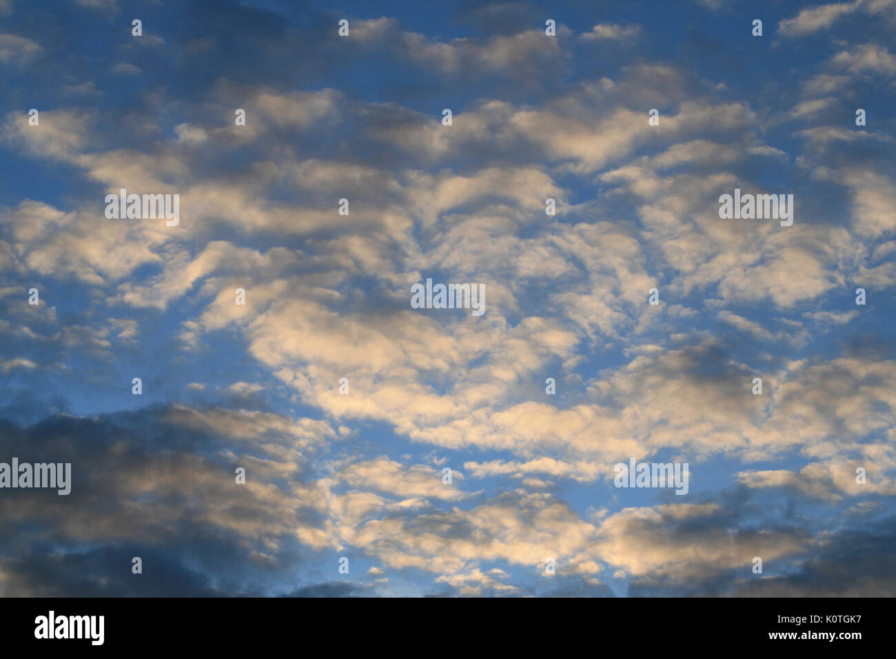 Sky. Clouds in the rays of the setting sun Stock Photo - Alamy