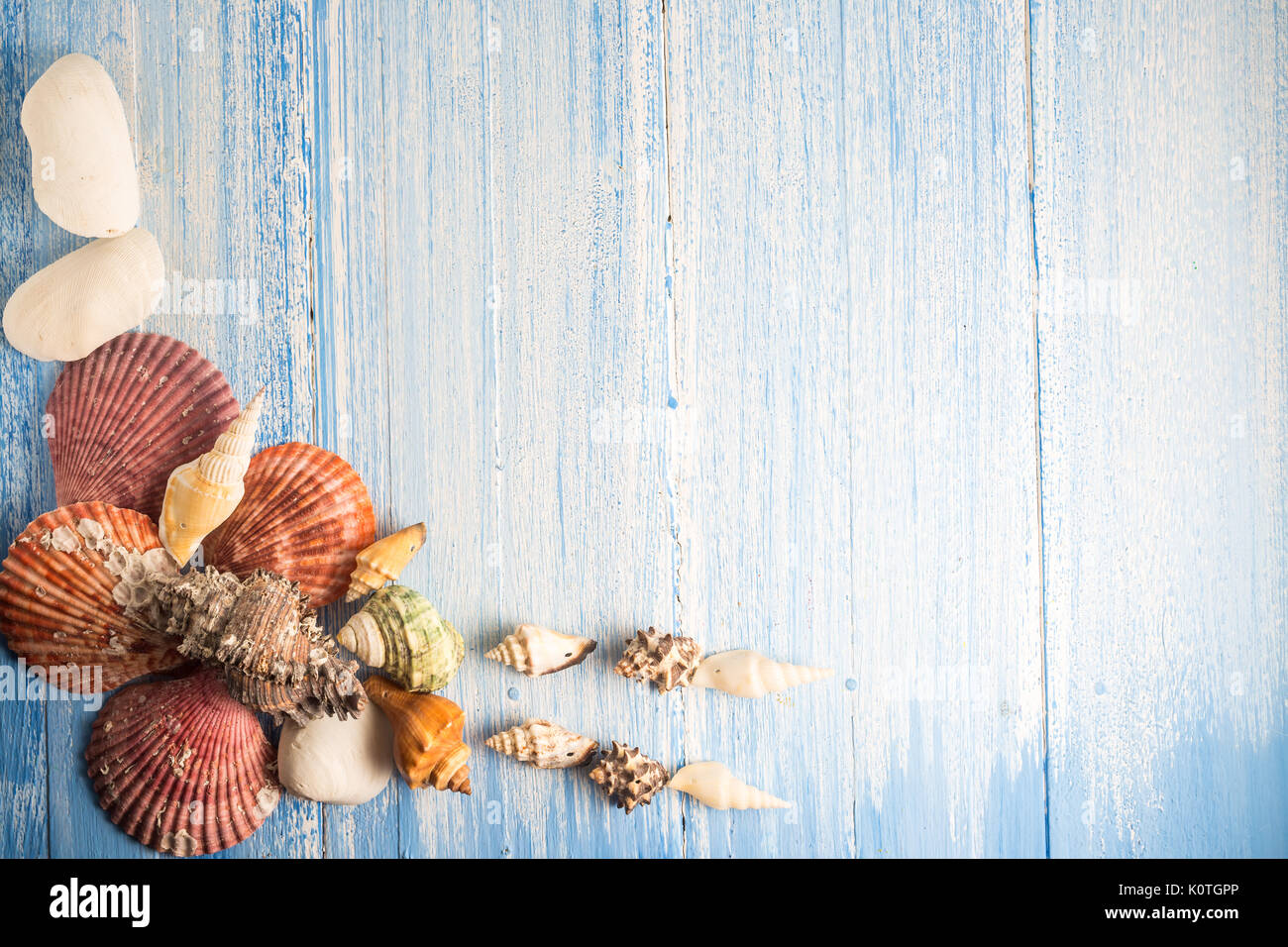 shell on wood texture background, colorful background Stock Photo - Alamy