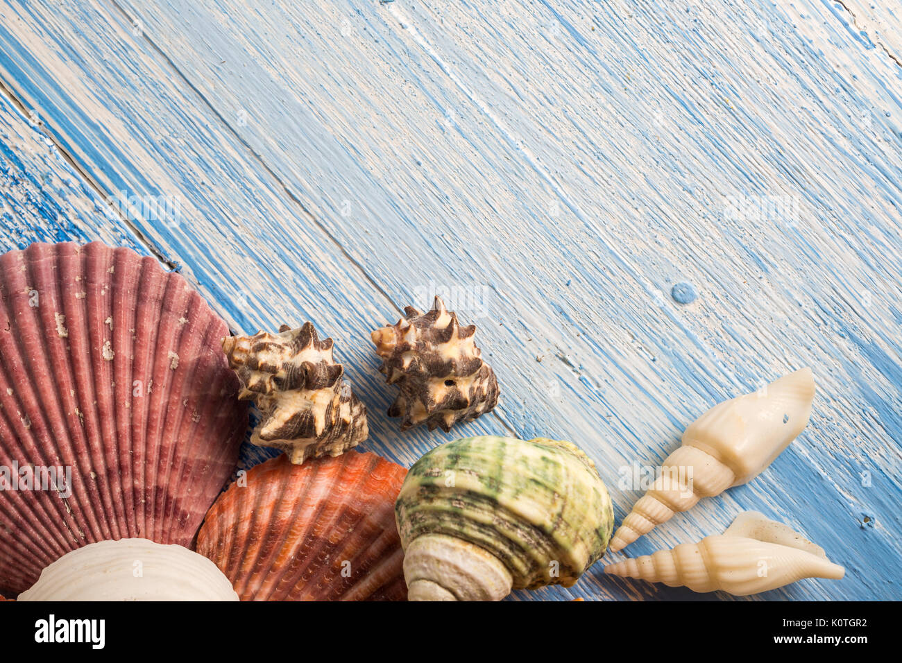 shell on wood texture background, colorful background Stock Photo - Alamy