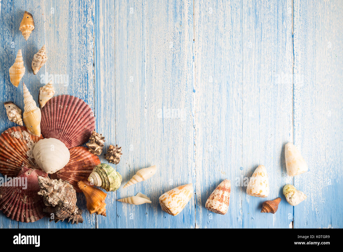 shell on wood texture background, colorful background Stock Photo - Alamy