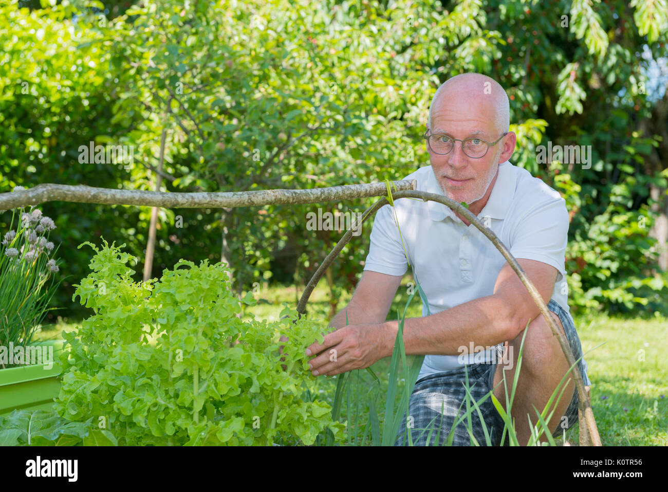 Portrait handsome senior man gardening hi-res stock photography and ...