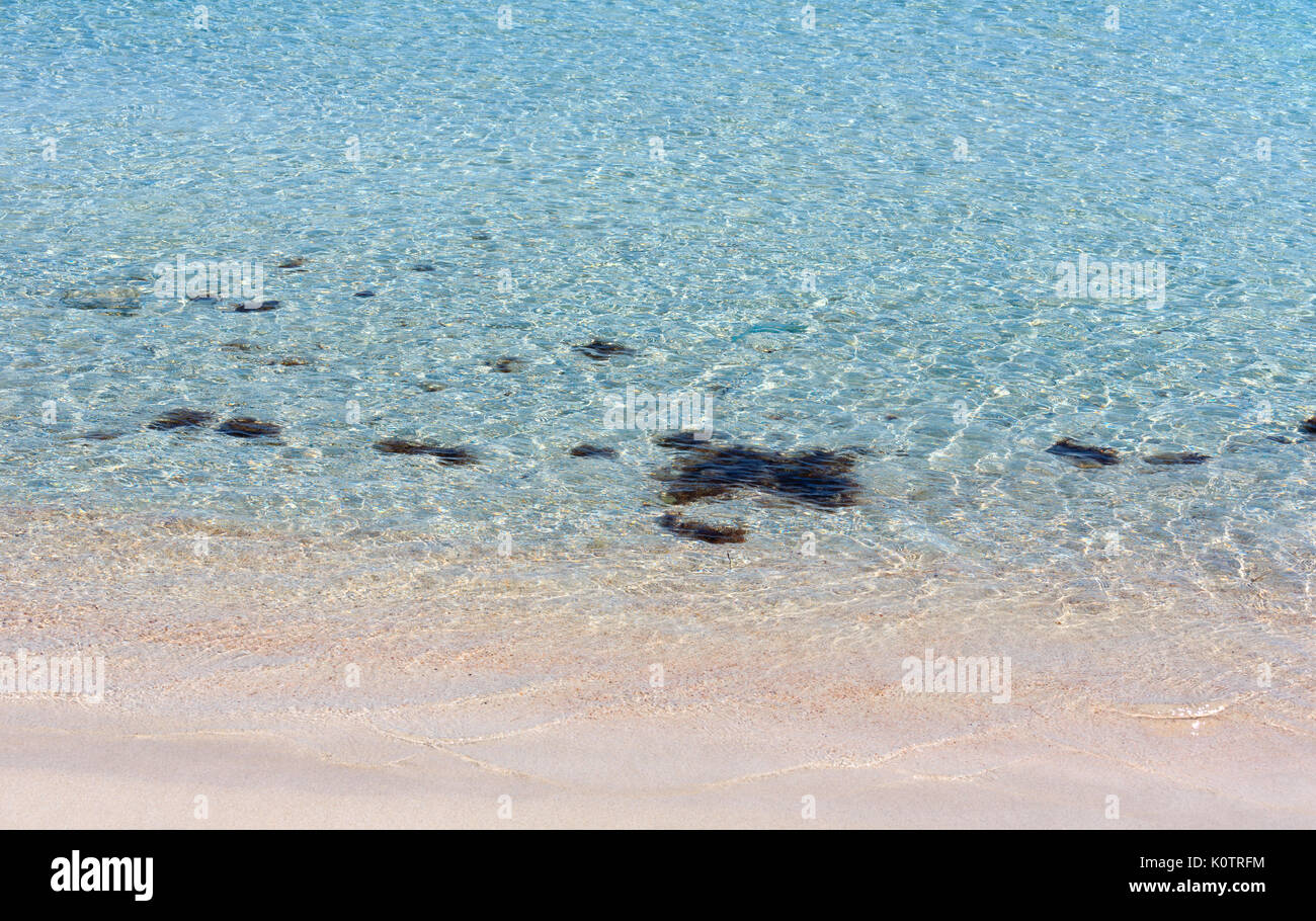Beautiful sea surf, summer seascape view from sandy beach Stock Photo ...