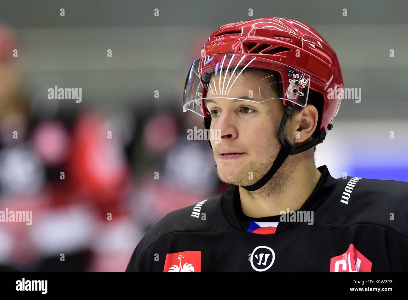 Mislav Rosandic of Hradec in action during the Ice hockey Champions ...
